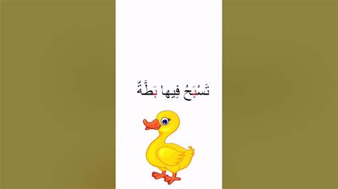 هيا بنا نتعلم الحروف يا أطفال حرف الباء ب Youtube