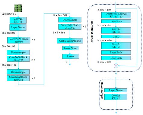 tree species classification in uav remote sensing images based on super