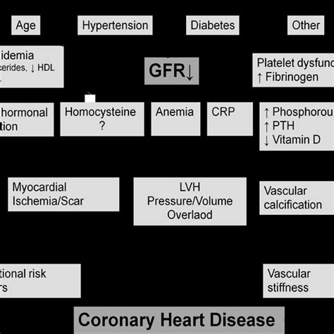 Renal Function Estimation Equations Download Scientific Diagram