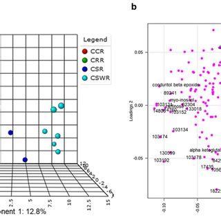 A PLS DA Scores Plot And B Loading Plot Of Root Metabolites Of Four Download Scientific Diagram