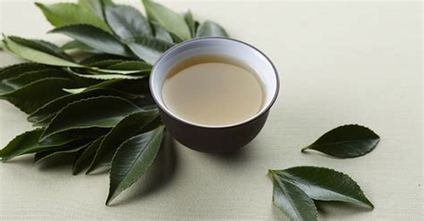 암 이기는 식탁 따뜻한 녹차 한 잔 노화부터 암까지 막아준다