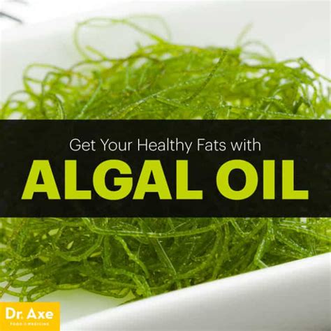 Omega 3 Derived From Algae At Dwain Lindley Blog