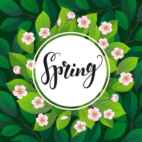 꽃 배경에 봄 텍스트 프리미엄 벡터