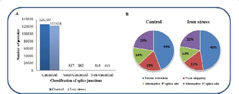 Alternative Splicing Analysis In Seedling Stage Rice Leaves Oryza