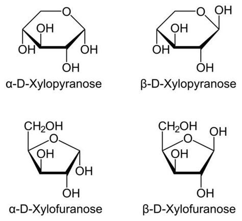 Xylose Structure Difference Between Xylose And Glucose Difference Between