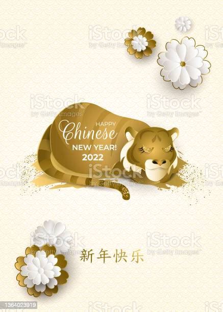 중국 설날 2022 브러시 스트로크 반짝이 휴일 포스터꽃 배너와 금 호랑이 문자 새해 복 많은 아시아 패턴 종이 아트 스타일 벡터 그림입니다 0명에 대한 스톡 벡터 아트 및