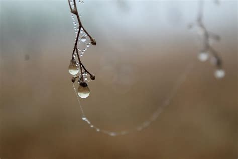 Kmf Infotech On Linkedin User Centric Design Best Practices For Creating Engaging Web Applications