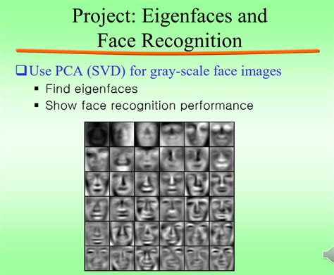 Solved Write A Python Code About Eigenfaces And Chegg