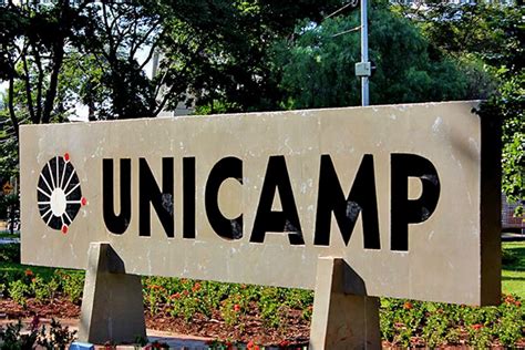 Unicamp Oferece Diversos Cursos Gratuitos E Online Confira