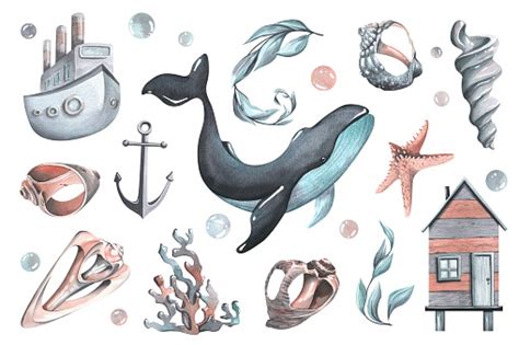보트와 낚시 집 조개와 불가사리 조류 산호 거품이 있는 고래 수채화 그림입니다 Whales 컬렉션의 흰색 배경에 격리된 개체