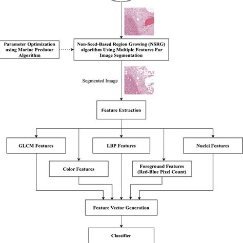 Architecture Of Efficientnet B0 As Feature Extractor Download