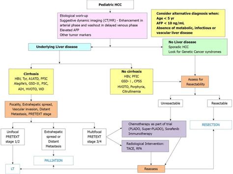 Pin On Ple Labs With Focus On Fontan Circulation