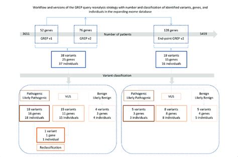 Workflow And Version Of Grep Query Used According To The Amount Of Es