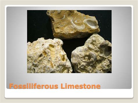 Ppt Sedimentary Rocks Powerpoint Presentation Free Download Id2309856