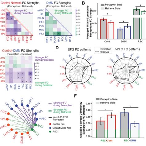 Connectivity Configurations During Perception And Retrieval Cognitive Download Scientific