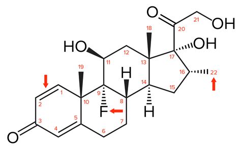 Glucocorticoids Structure Antiinflammatory Action Of Glucocorticoids