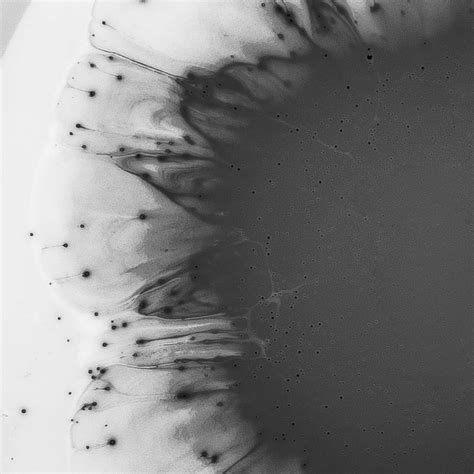 Potassium Hydroxide Fields Of Yarrow