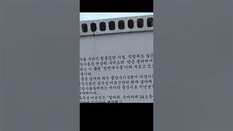 살기위해 떠나는 마을 주민 산골 Youtube