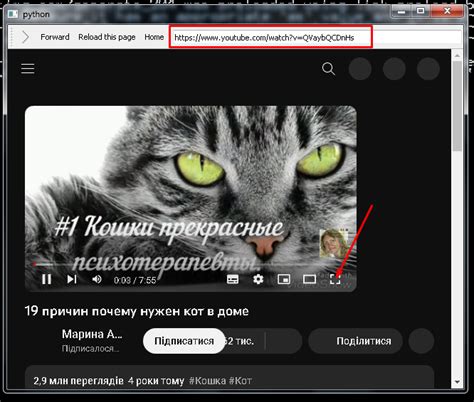 Python Полноэкранный режим видео для веб сайтов в браузере Pyqt