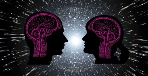Highly Reproducible Sex Differences In Aspects Of Human Brain Anatomy Neuroscience News