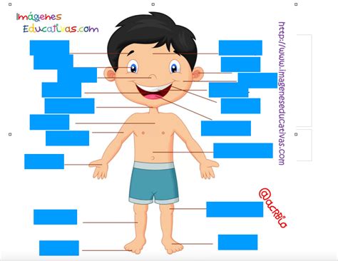 Chapter 5 Diagram Quizlet