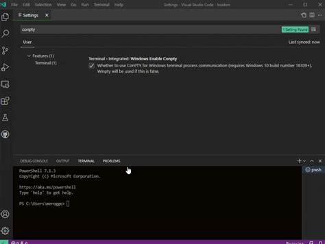 Pty Host Becomes Unresponsive When Creating A New Terminal Right After Manually Relaunching An