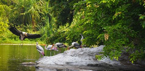 Discovering The Wildlife Of Goa Metronome Hospitality