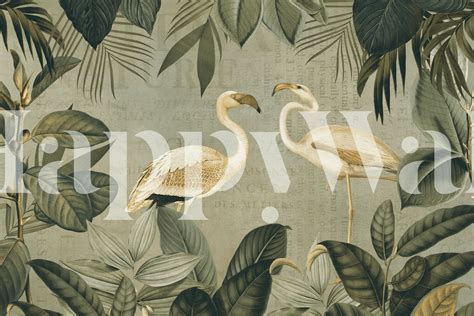 Vintage Flamingo Wallpaper