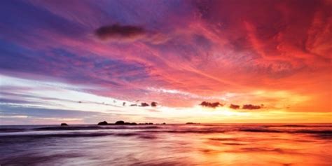 Postman Collection To Jmeter Octoperf