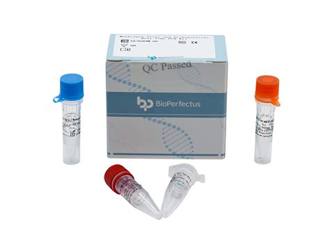 Monkeypox Virus And Orthopoxvirus Real Time Pcr Kit Bioservices