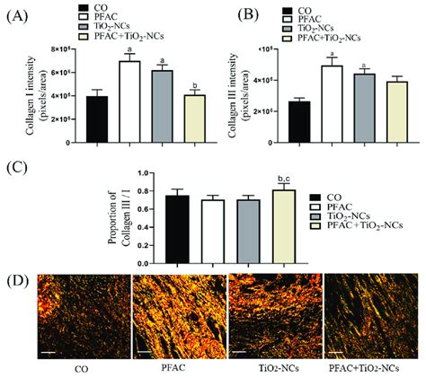 quantification of type i and iii collagen in treated pfac tio 2 ncs