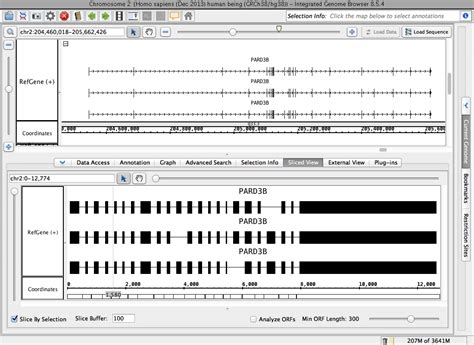 Integrated Genome Browser Fast Flexible And Free Visualization