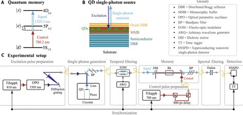 Deterministic Storage And Retrieval Of Telecom Light From A Quantum Dot Single Photon Source