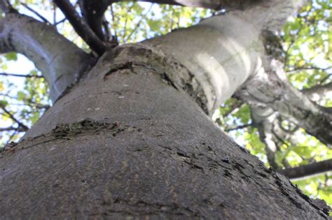 Depth Of Field Britney Photography Gcse