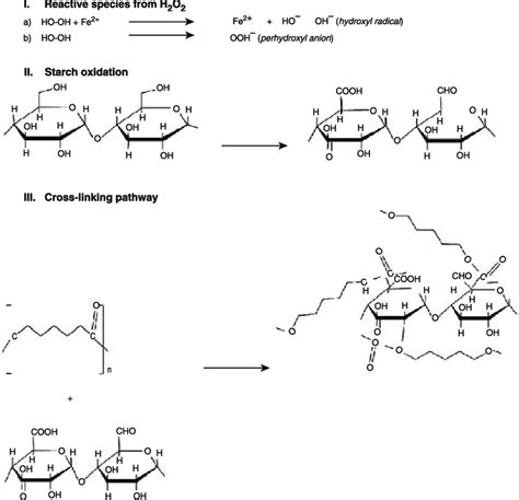 Simplified Reaction Scheme Showing Oxidation And Cross Linking Between