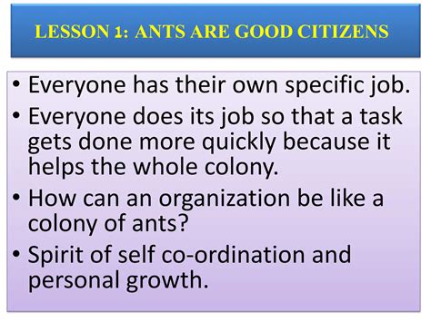 Ant Strategies For Personal Growth And Organization Pdf Beekeeping