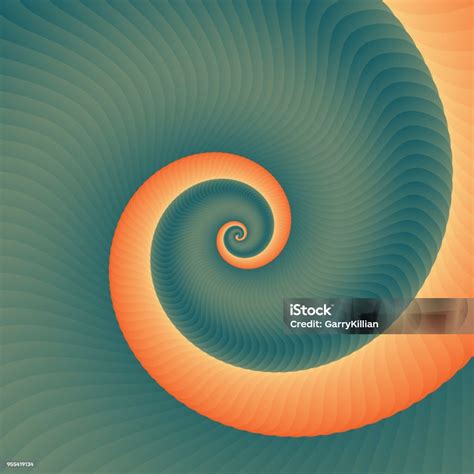 으로 무한대 기하학 추상적인 기하학적 동심 소용돌이 배경 같은 구조의 바다 포탄 프랙탈 소용돌이 배경 동심 배치 기하학입니다 건설 프레임에 대한 스톡 벡터 아트 및 기타