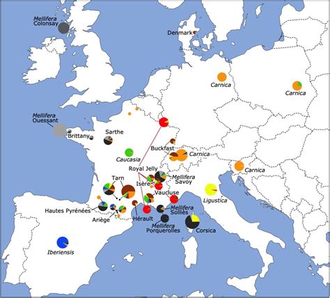 Maps Of Bee Race Genetics Beesource Beekeeping Forums