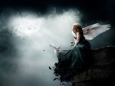 Broken Angel Wing
