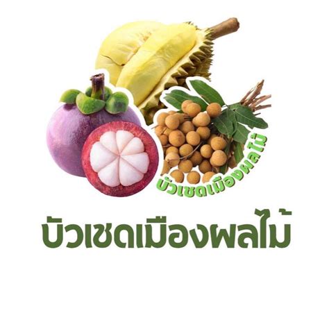 สวนนิตติยา กับทุเรียนอายุ 50 วัน บัวเชดเมืองผลไม้ Facebook