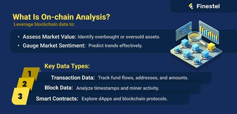 Top 12 Onchain Analysis Tools In 2025 All You Need To Know Finestel