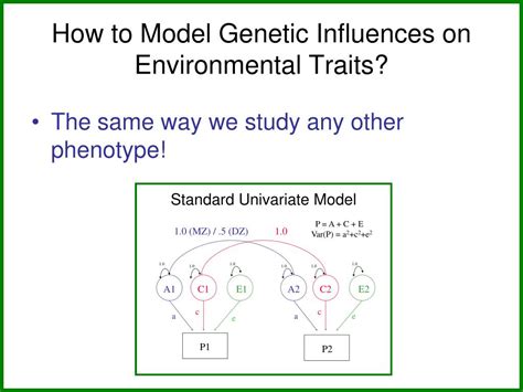 Ppt Gene Environment Interaction And Correlation Powerpoint Presentation Id 6852634