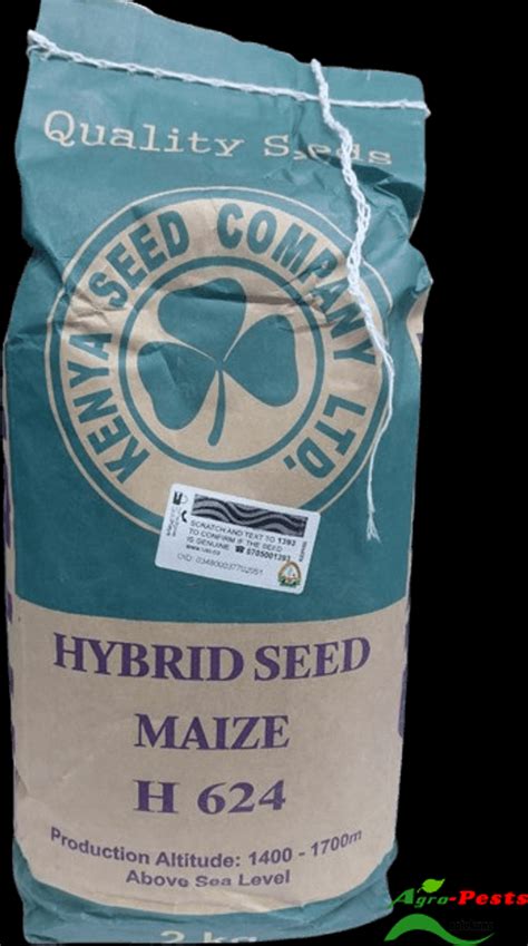 H 624 Maize Seeds 2kgs Agropests