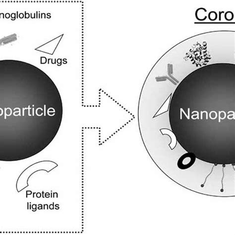 Classification Of Nanomaterials From The Point Of View Of Nanostructure
