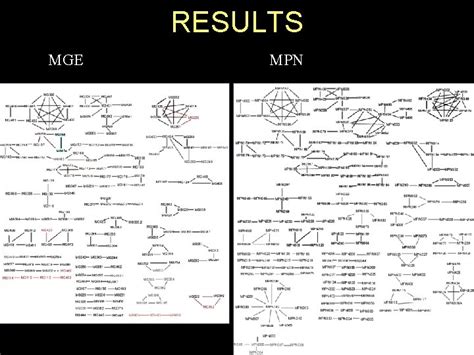 analysis of genetic networks using attributed graph matching