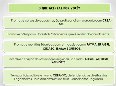 O Que Acef Faz Por Você Acef