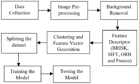 Figure 1 From Fusion Of Vision Based Features For Human Activity Recognition Semantic Scholar