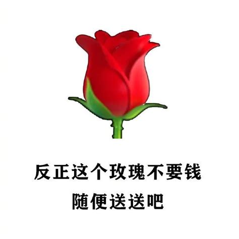 工作群里常见表情的真正含义 Csdn博客