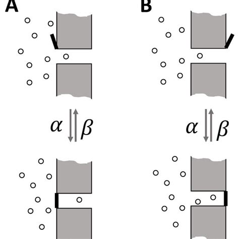 Gated Channels With Different Positions Of The Gate A The Gate Is Download Scientific