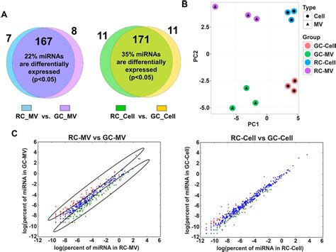 Distinct Differences In The MiRNAs Between RC MVs And GC MVs A Download Scientific Diagram